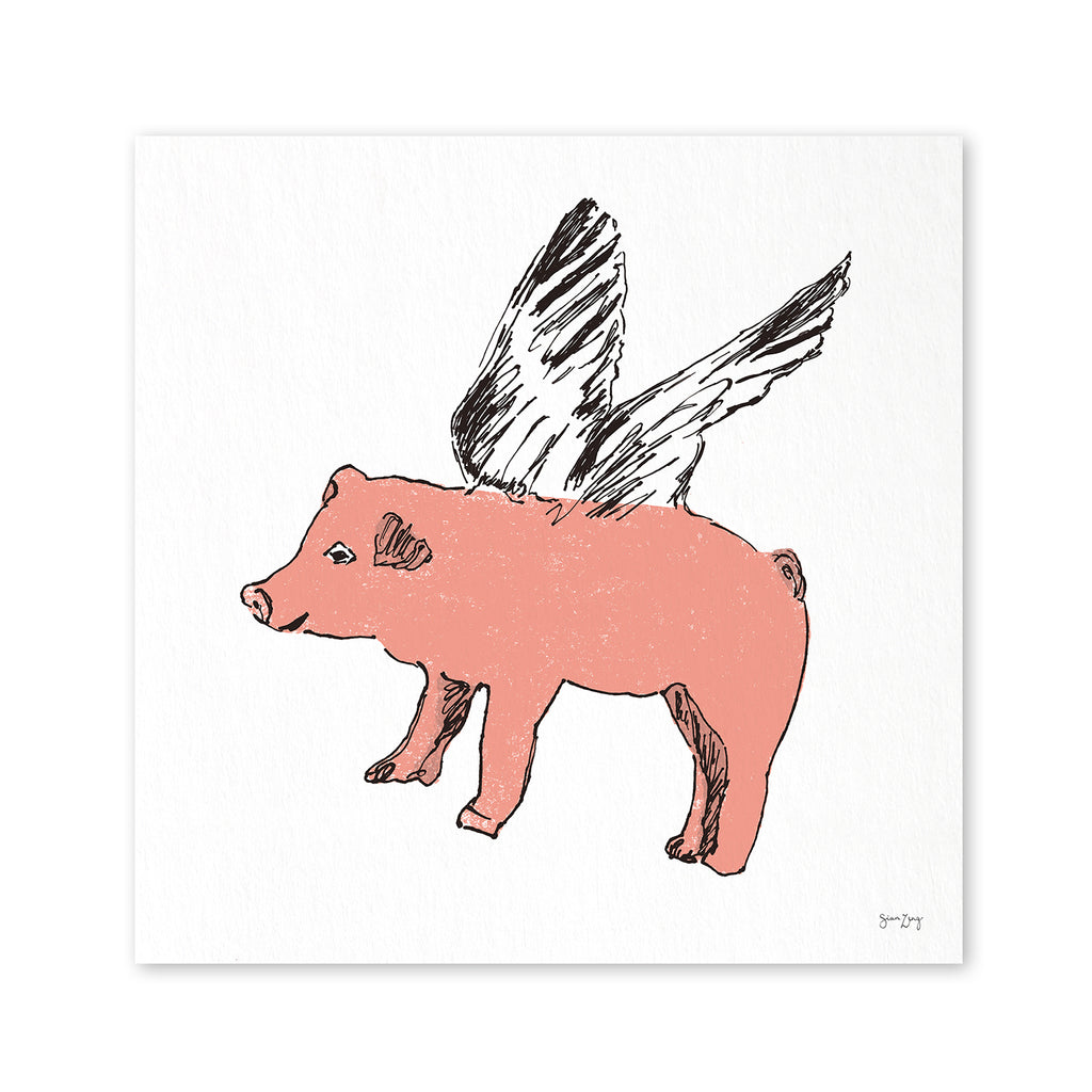 Flying Pig